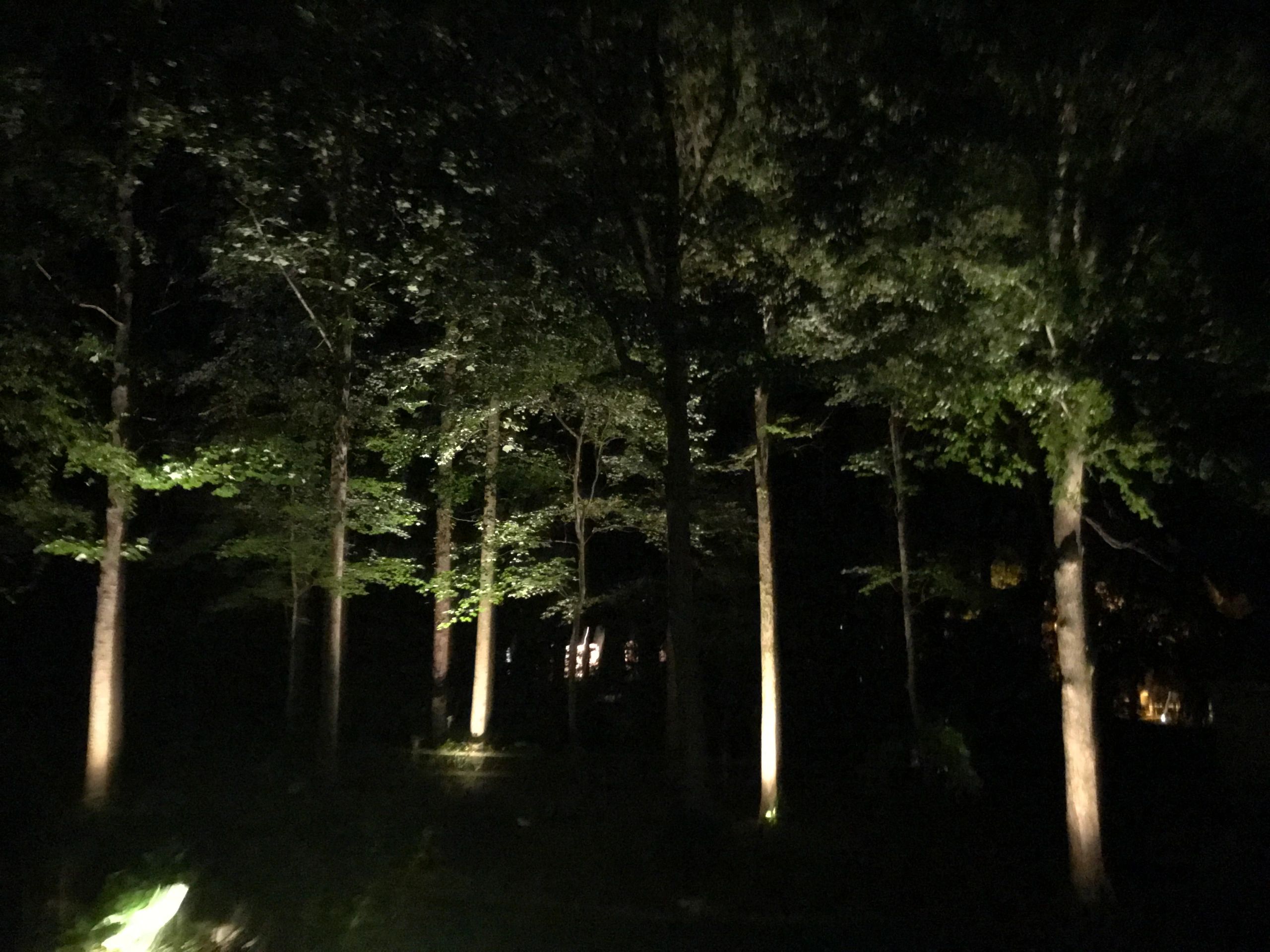 Three Oaks Outdoor