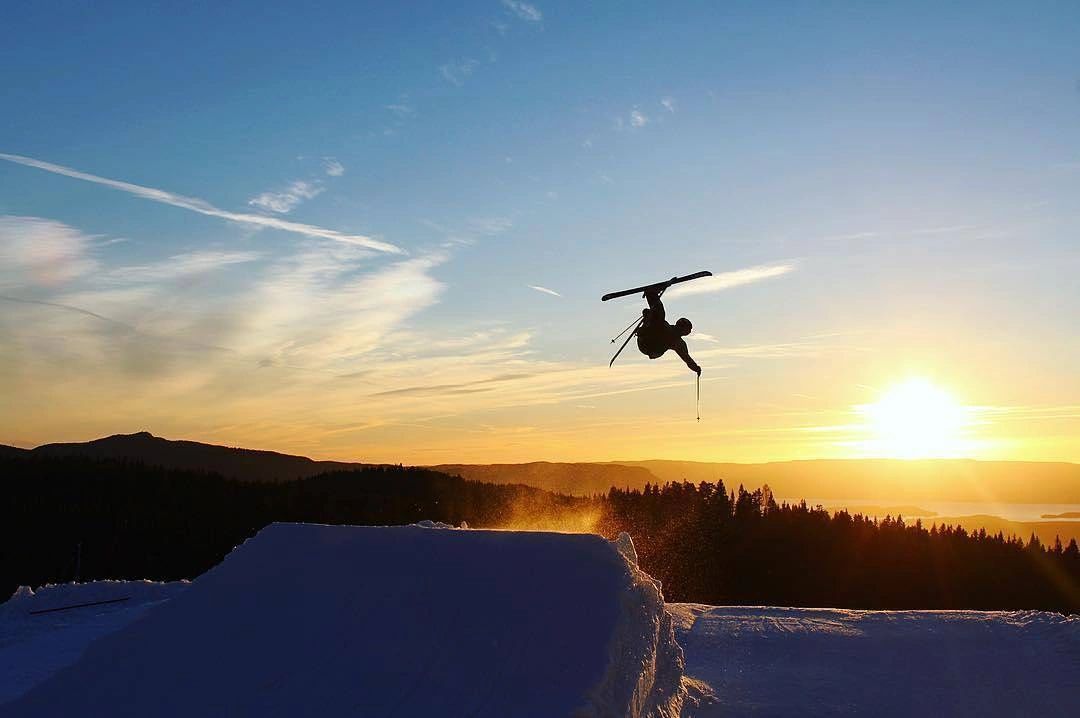 Ringkollen