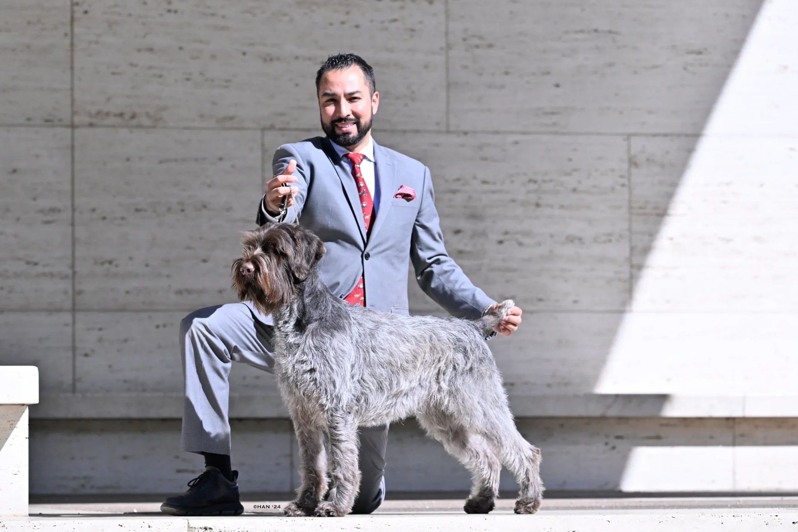 Overton Gun Dogs - Wirehaired Pointing Griffon, Griffon, Breeder