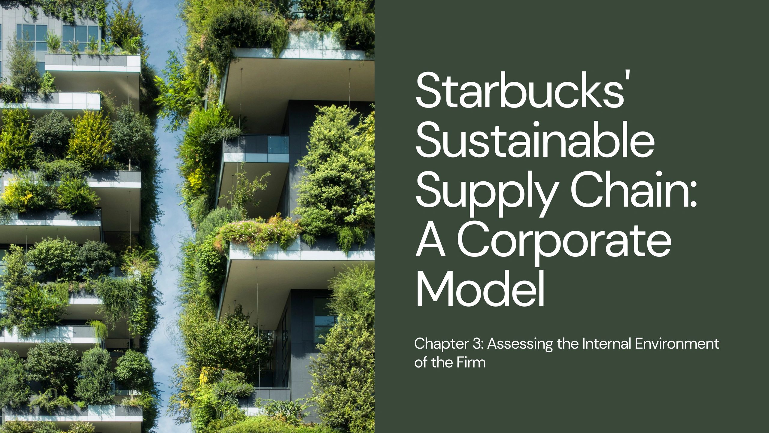 Starbucks' Sustainable Supply Chain