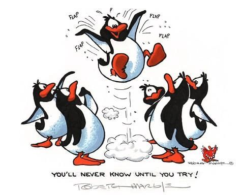 You'll Never Know Until You Try!