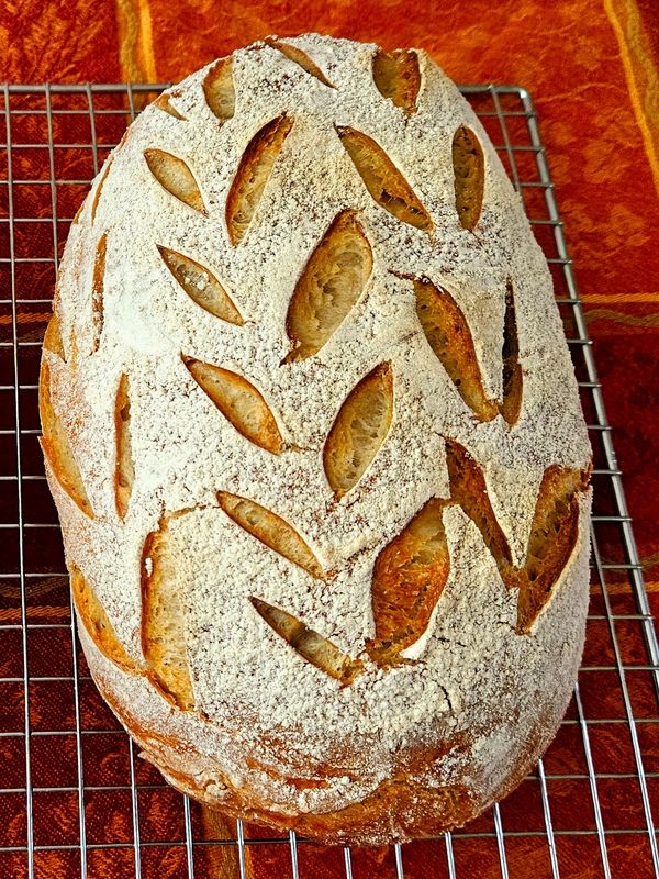 The Sourdough Bread Lady