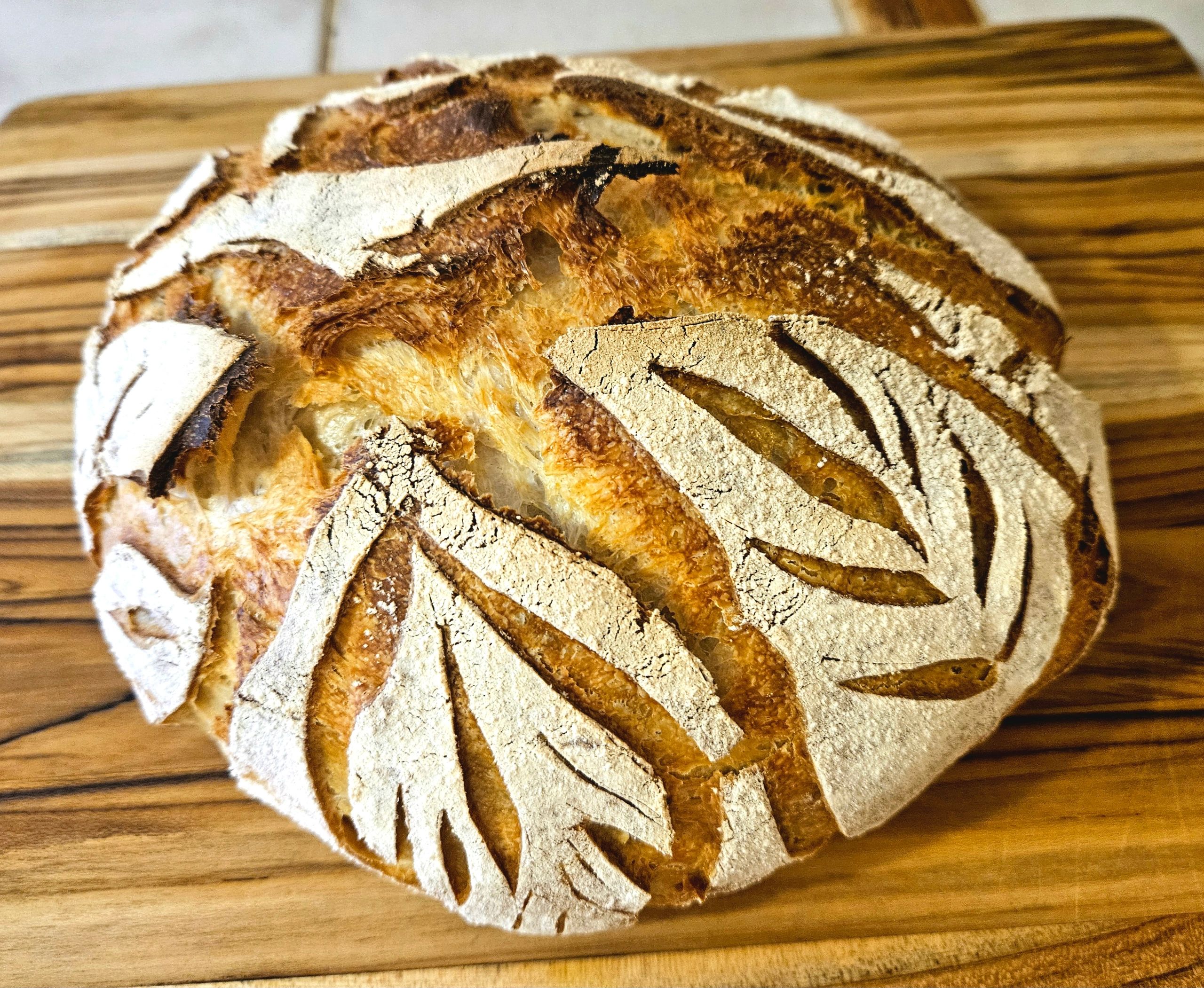 About Me | The Sourdough Bread Lady