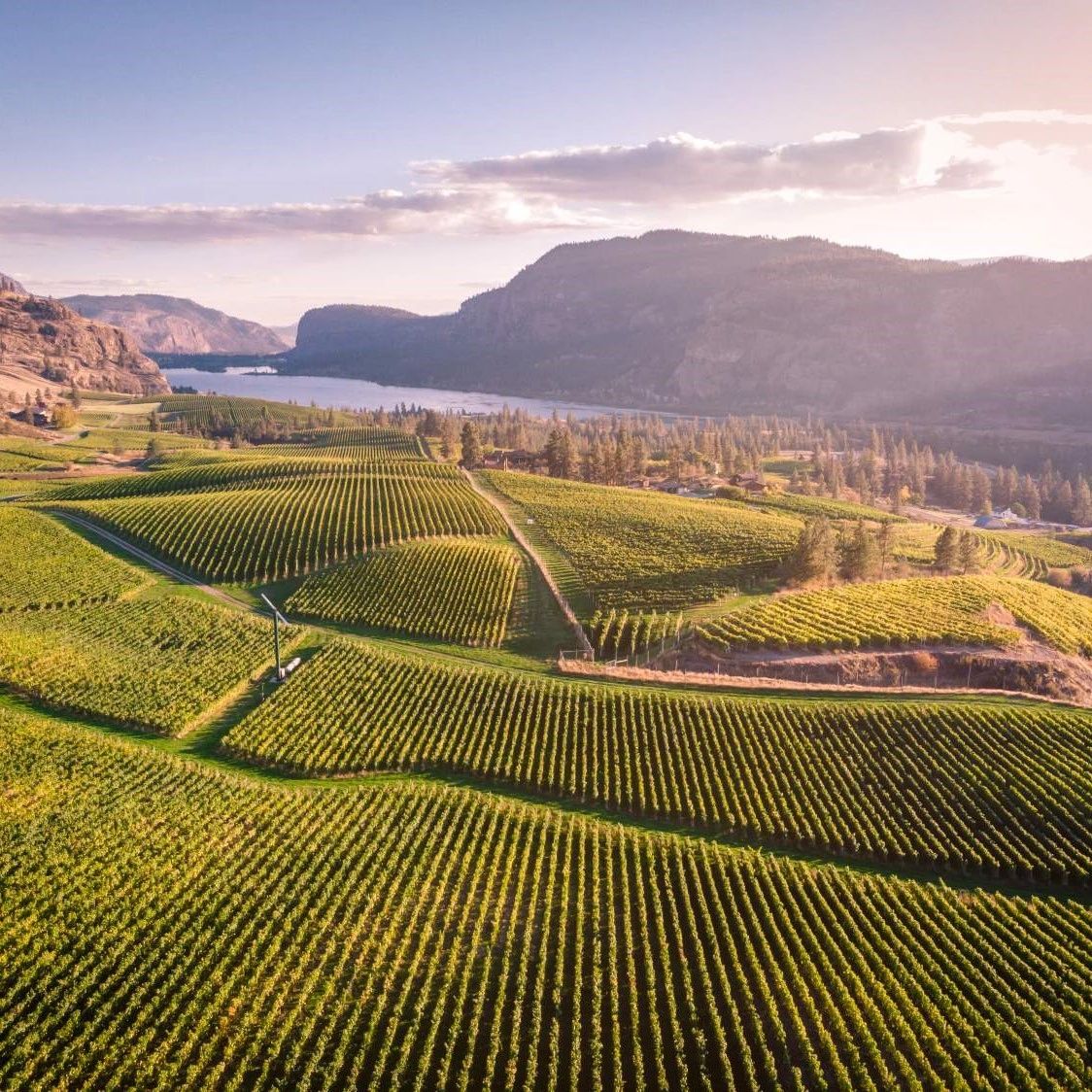 5 Reasons to Visit Canada's Okanagan Valley