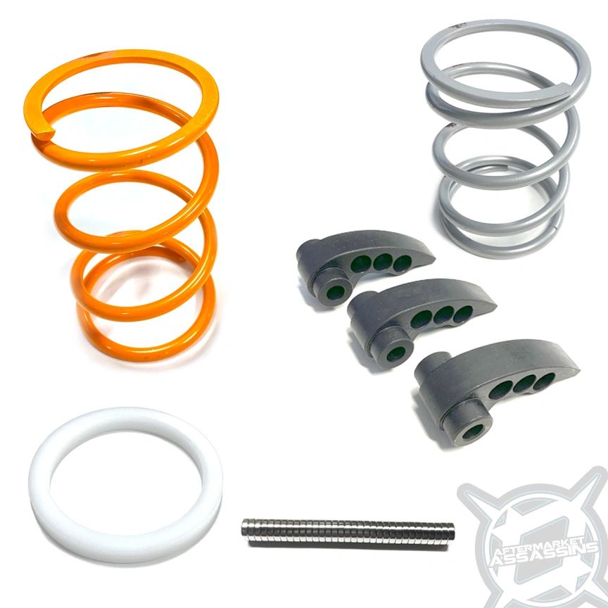 2022-25 RZR Pro R 4 Cylinder S2 Clutch Kit