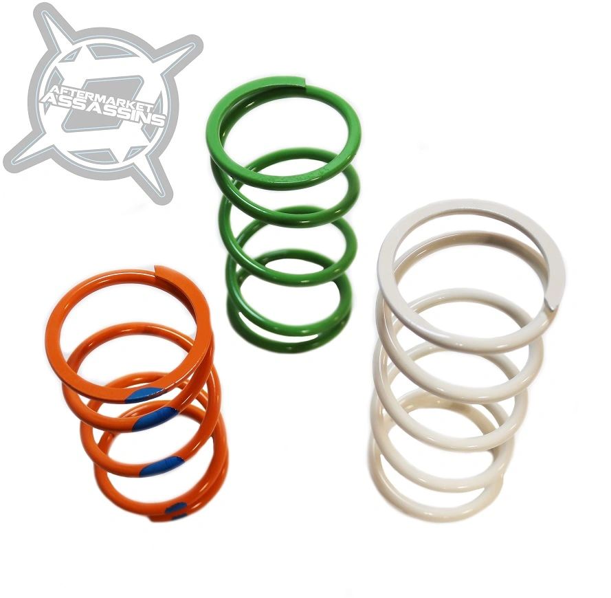 AA Polaris P90X HD Secondary Springs