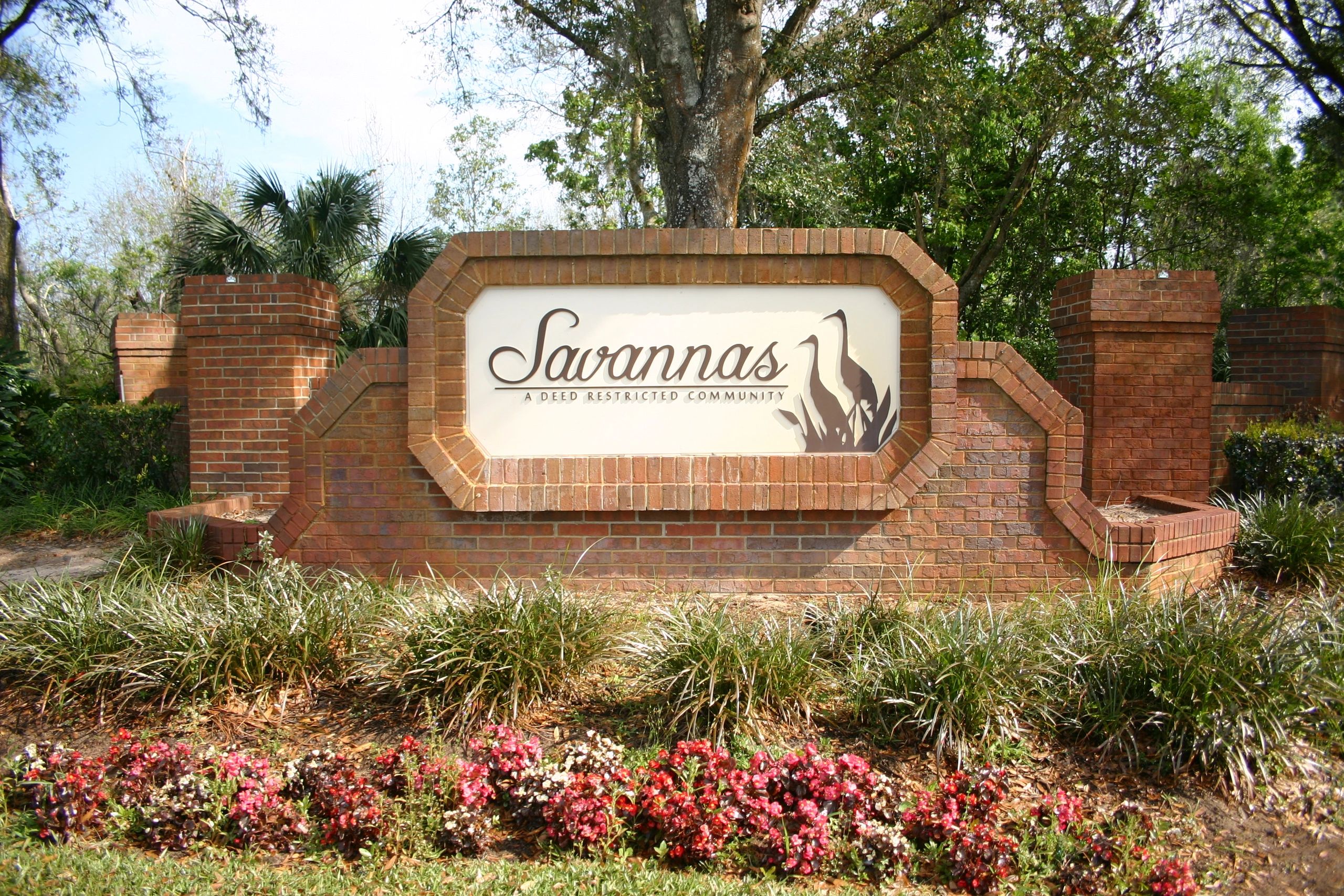 Discover The Savannas in Lake County