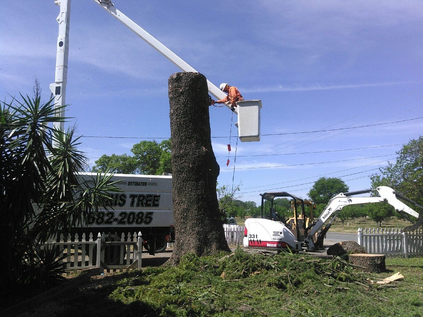Harris Tree Service