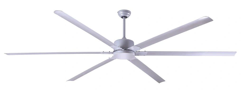 Only Fan Lovers