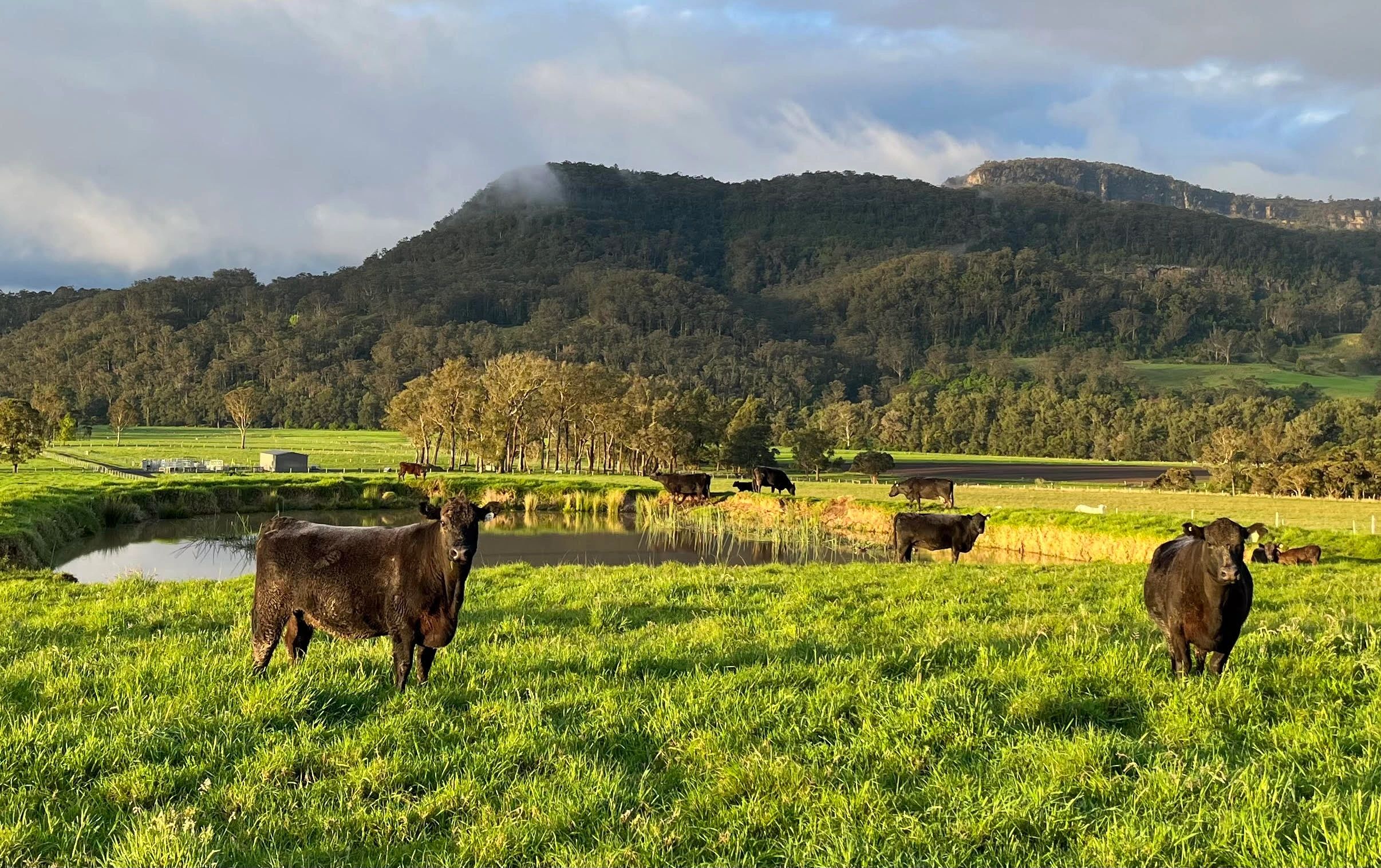 Rosewood Farm Kangaroo Valley