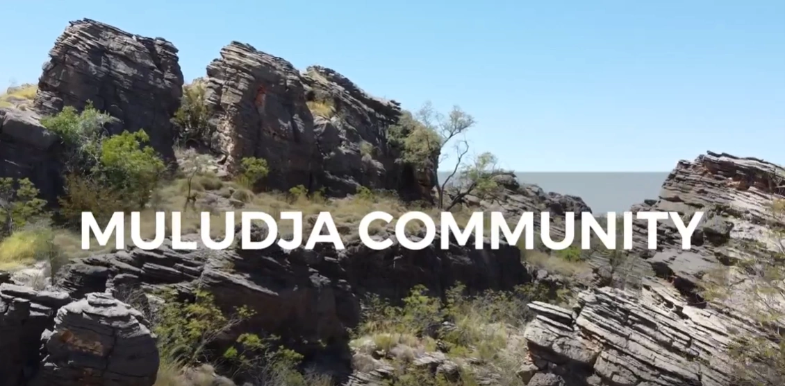 Australian 1st Indigenous co-designed virtual model of care