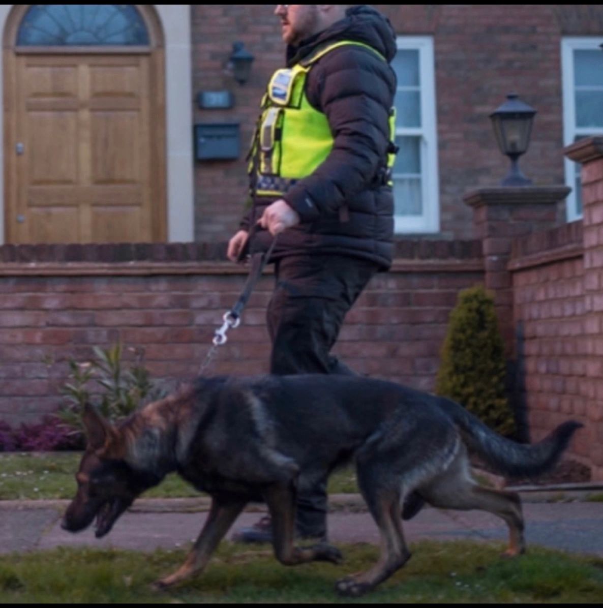 MARSHALL K9 SECURITY