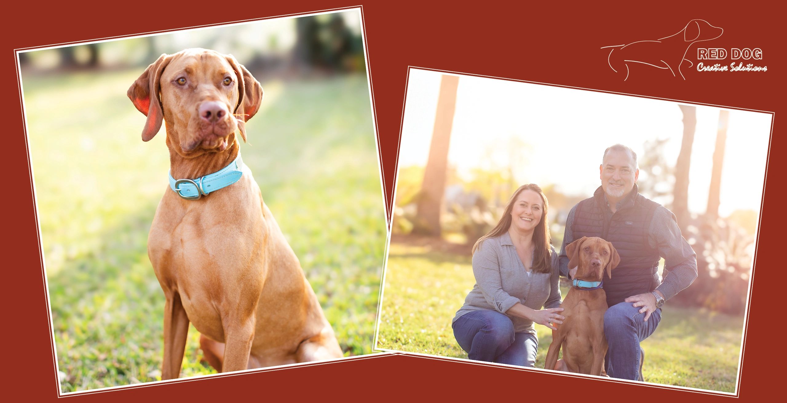 Who (or What) is the Red Dog?