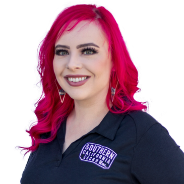 Meet the Team