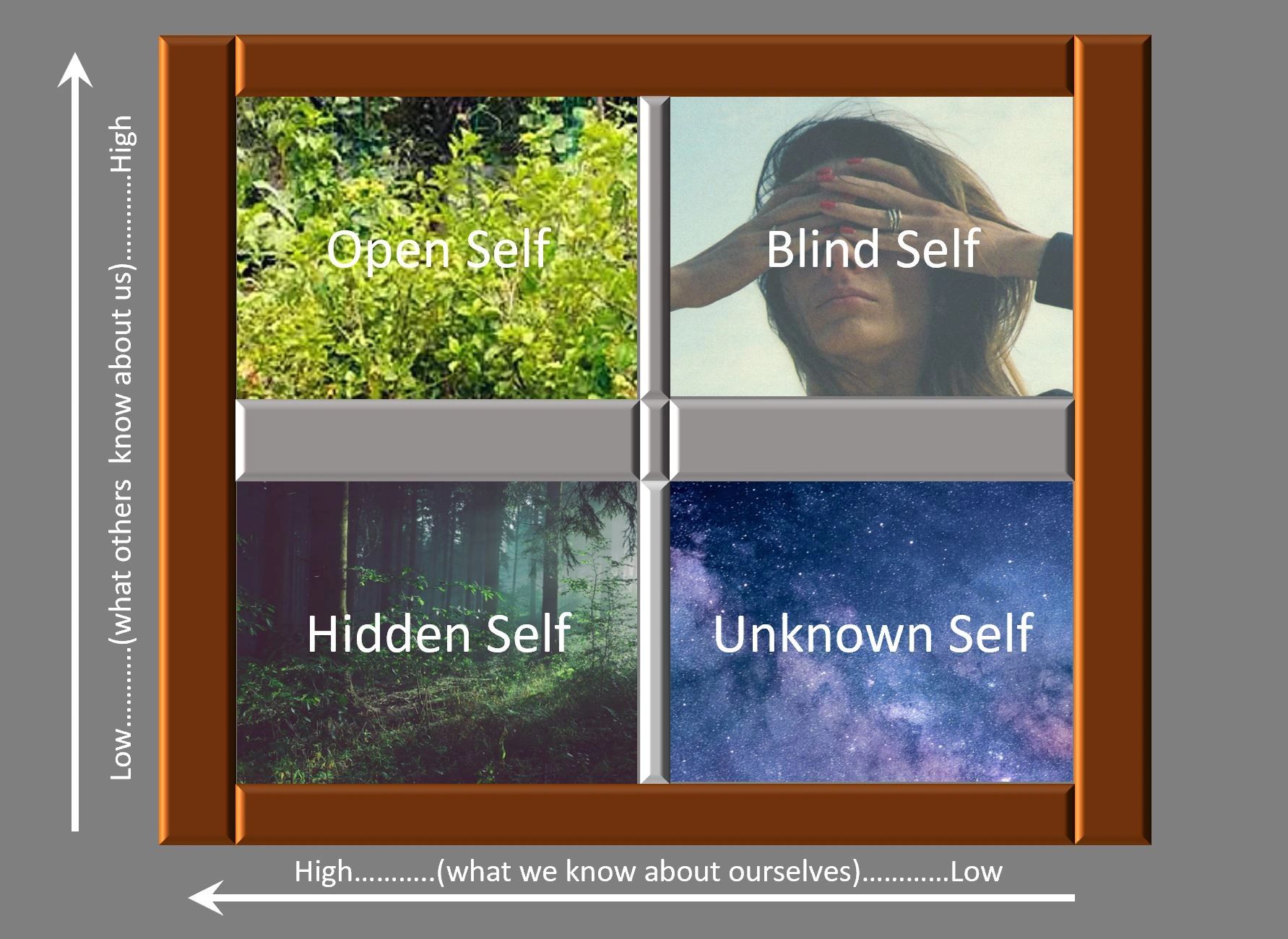 Johari Window