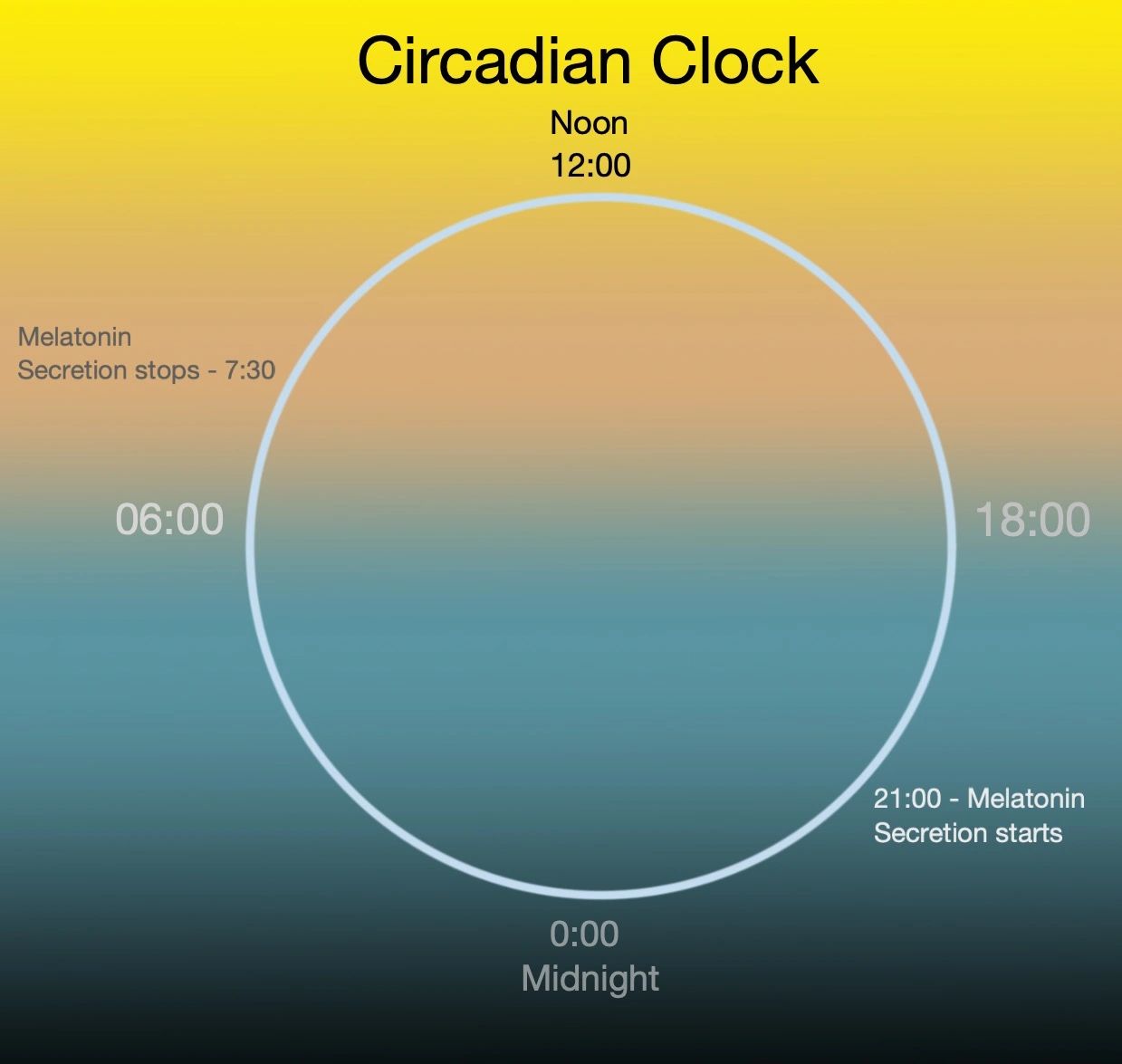 Circadian Rhythm Adjustment and Sleep Hygiene