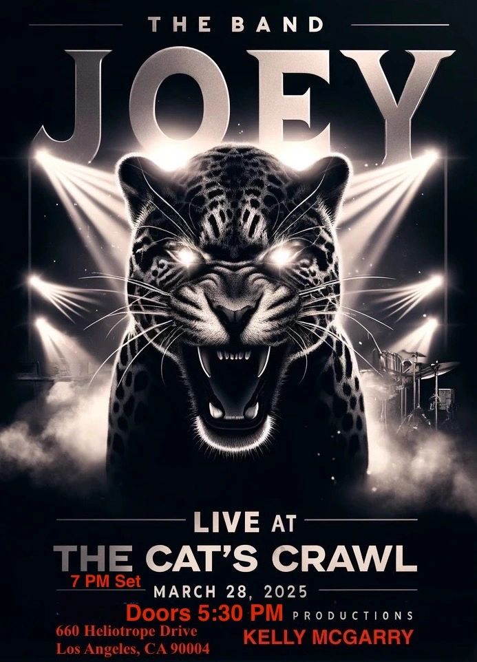 thebandjoey.com