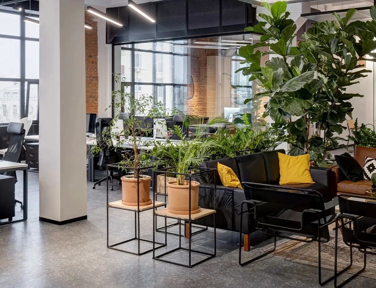 The Future of Office Work: Evolution and Transformation