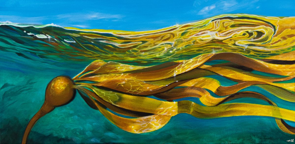 Fine Art Gallery Prints