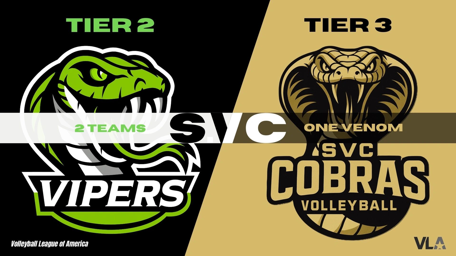 SVC Vipers
