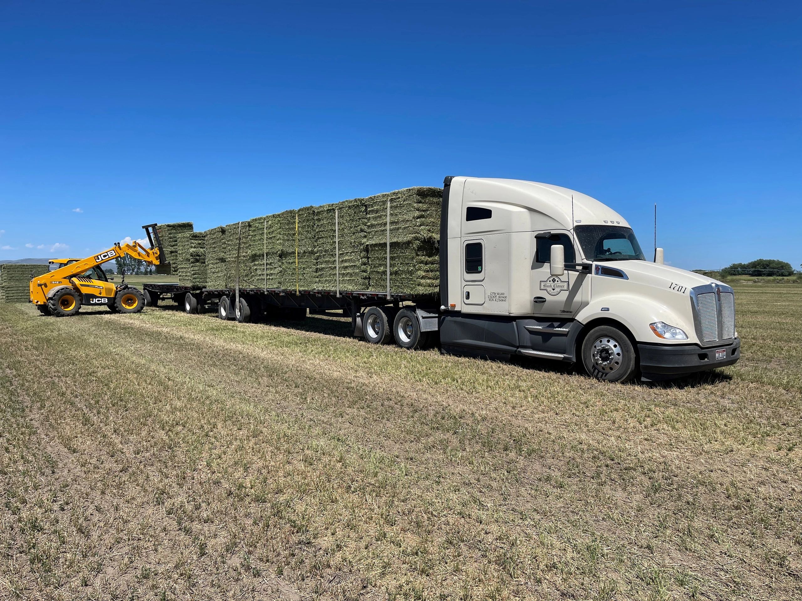 Black Clover Trucking