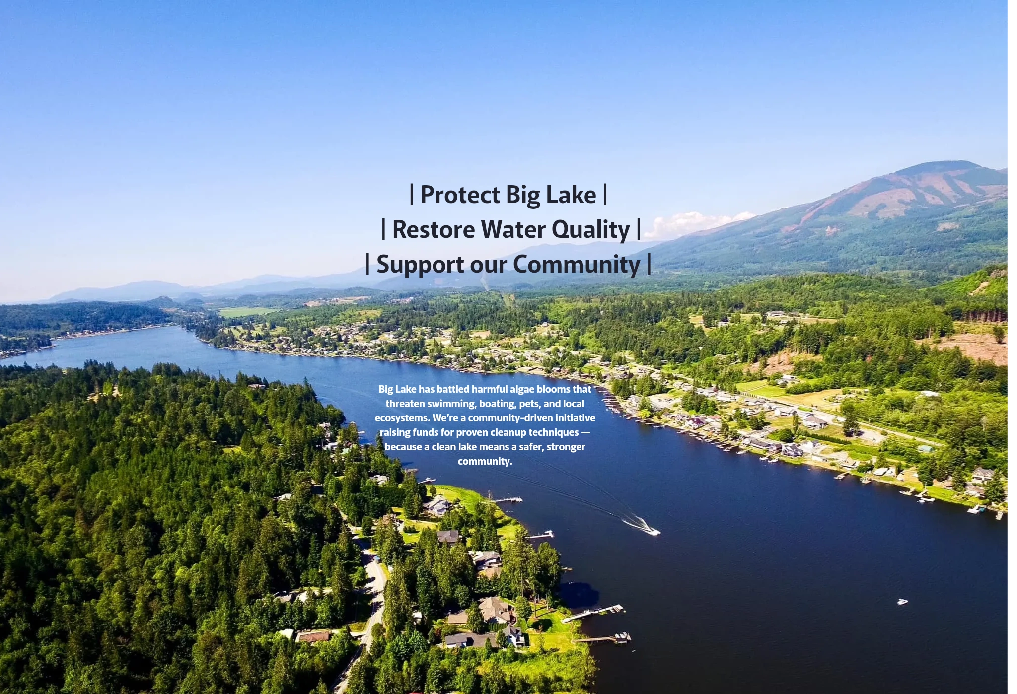 Big Lake Algae Cleanup