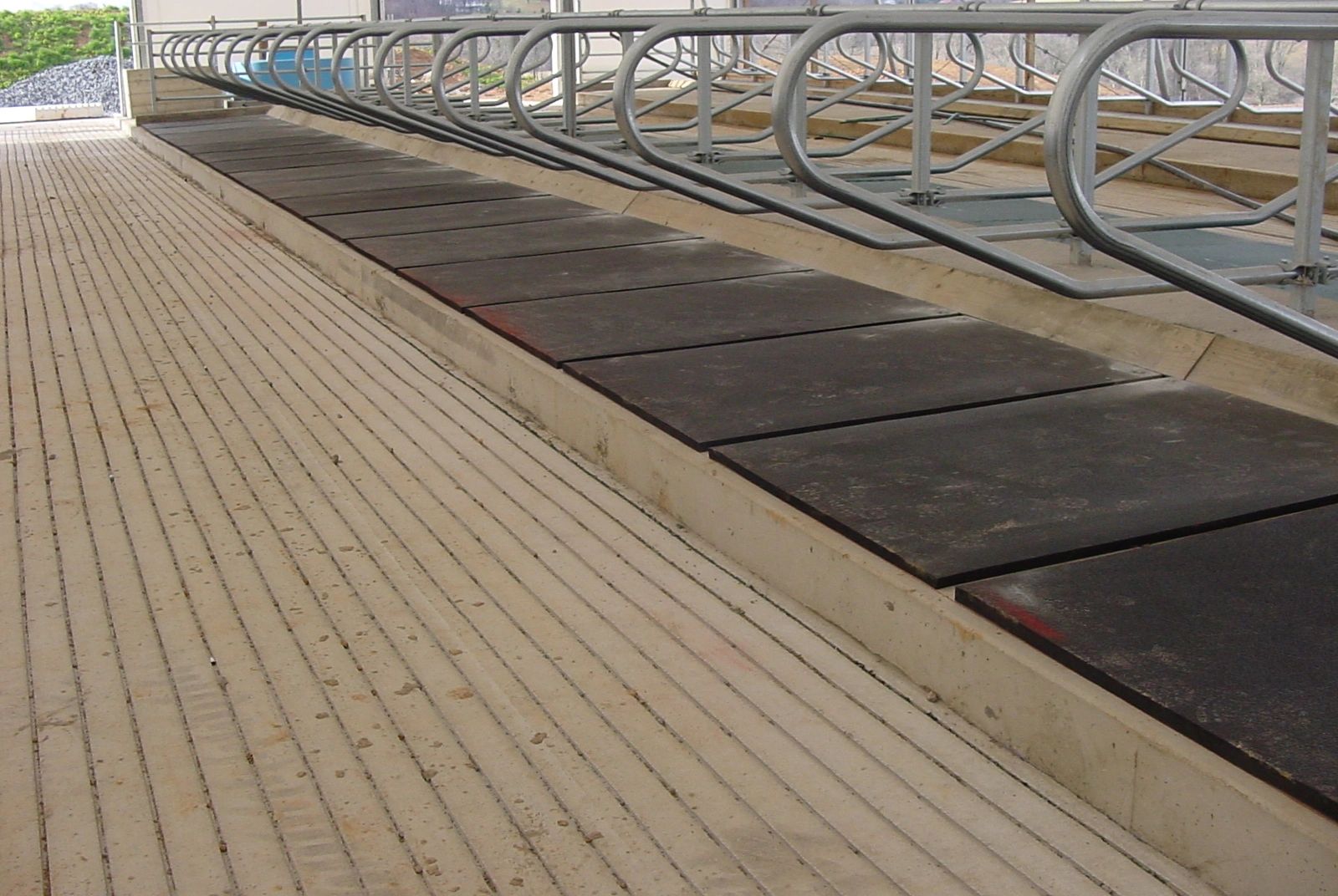 MayoMats - Easy to Install, Cow Mat, Dairy Barn