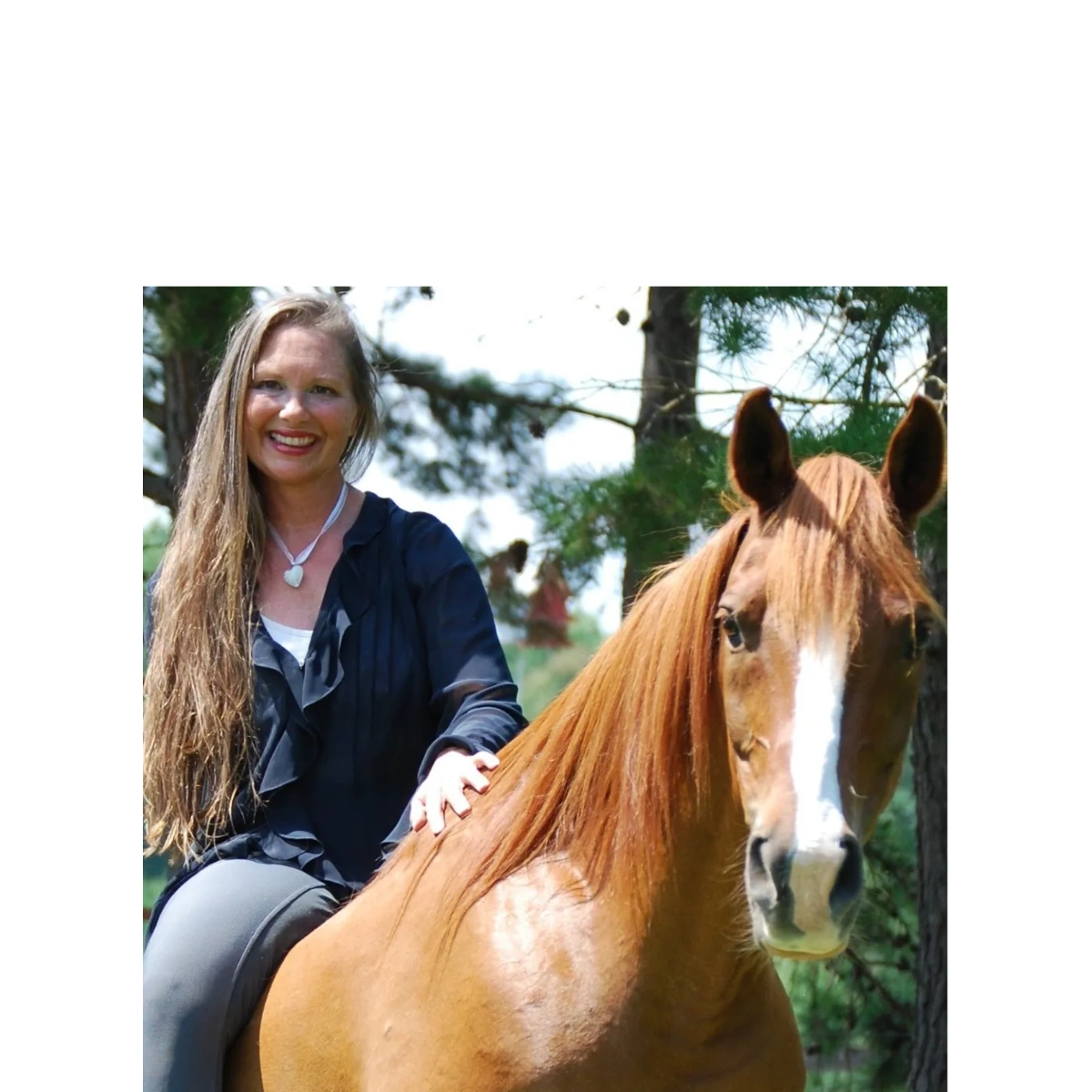 BEAUTIFUL BROKENNESS MINISTRIES - Horse Ministry, Discipleship, Jesus