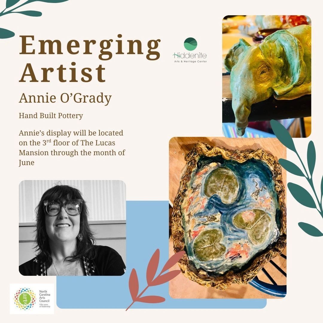 Emerging Artist