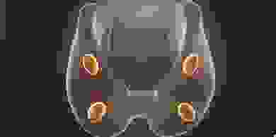 General Surgeon - Tomer Davidov MD FACS