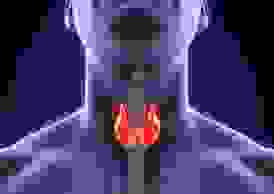 General Surgeon - Tomer Davidov MD FACS