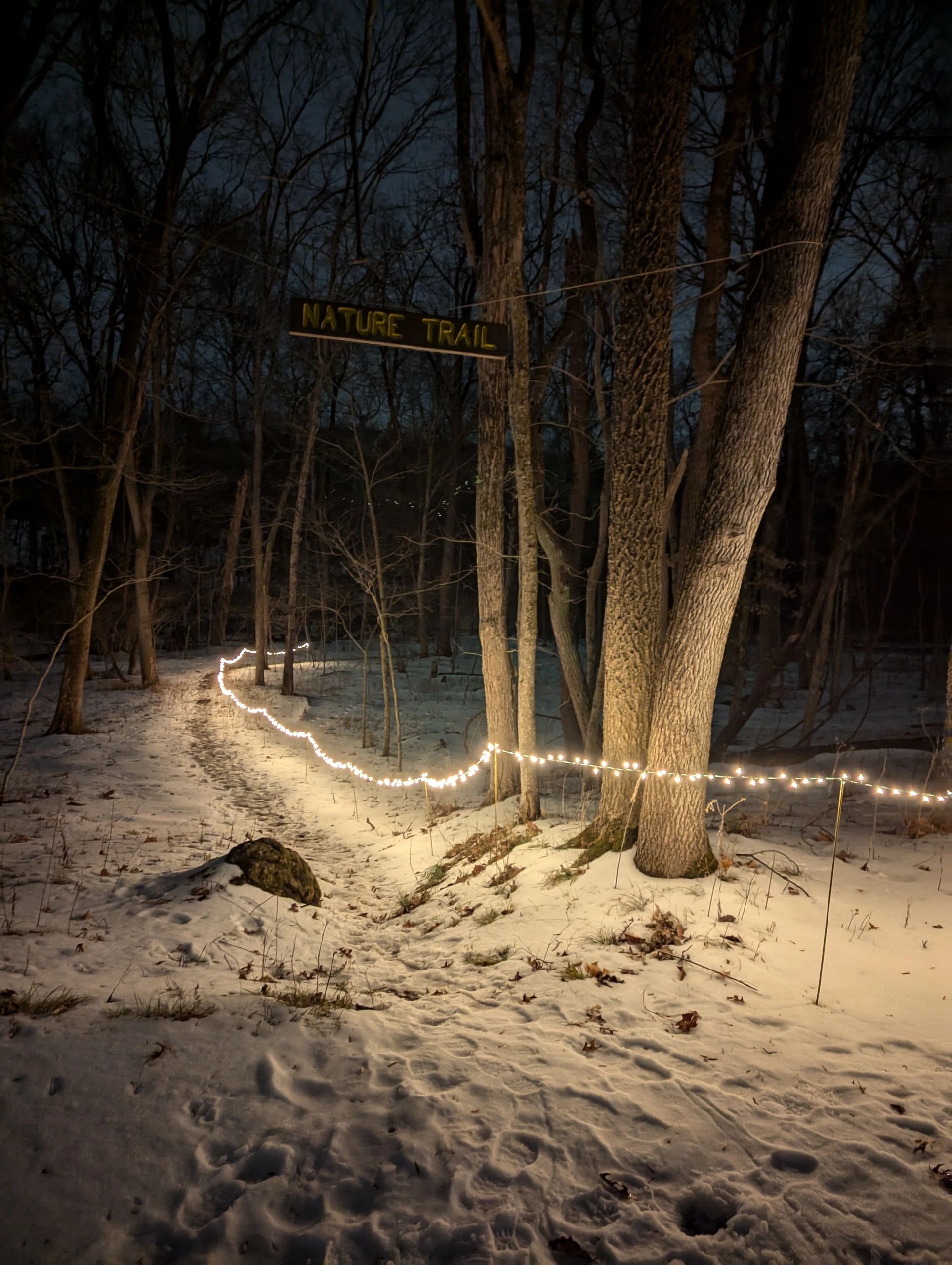 2025: "The Ice year"