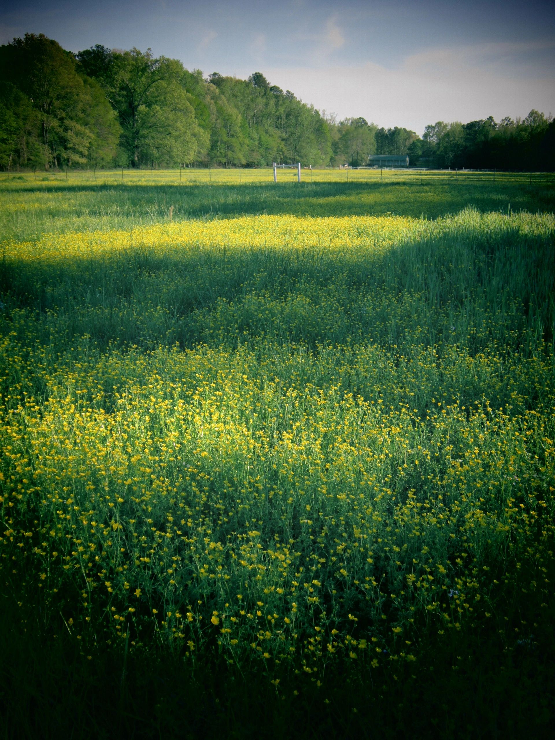 Burning Bush Farms, Inc.