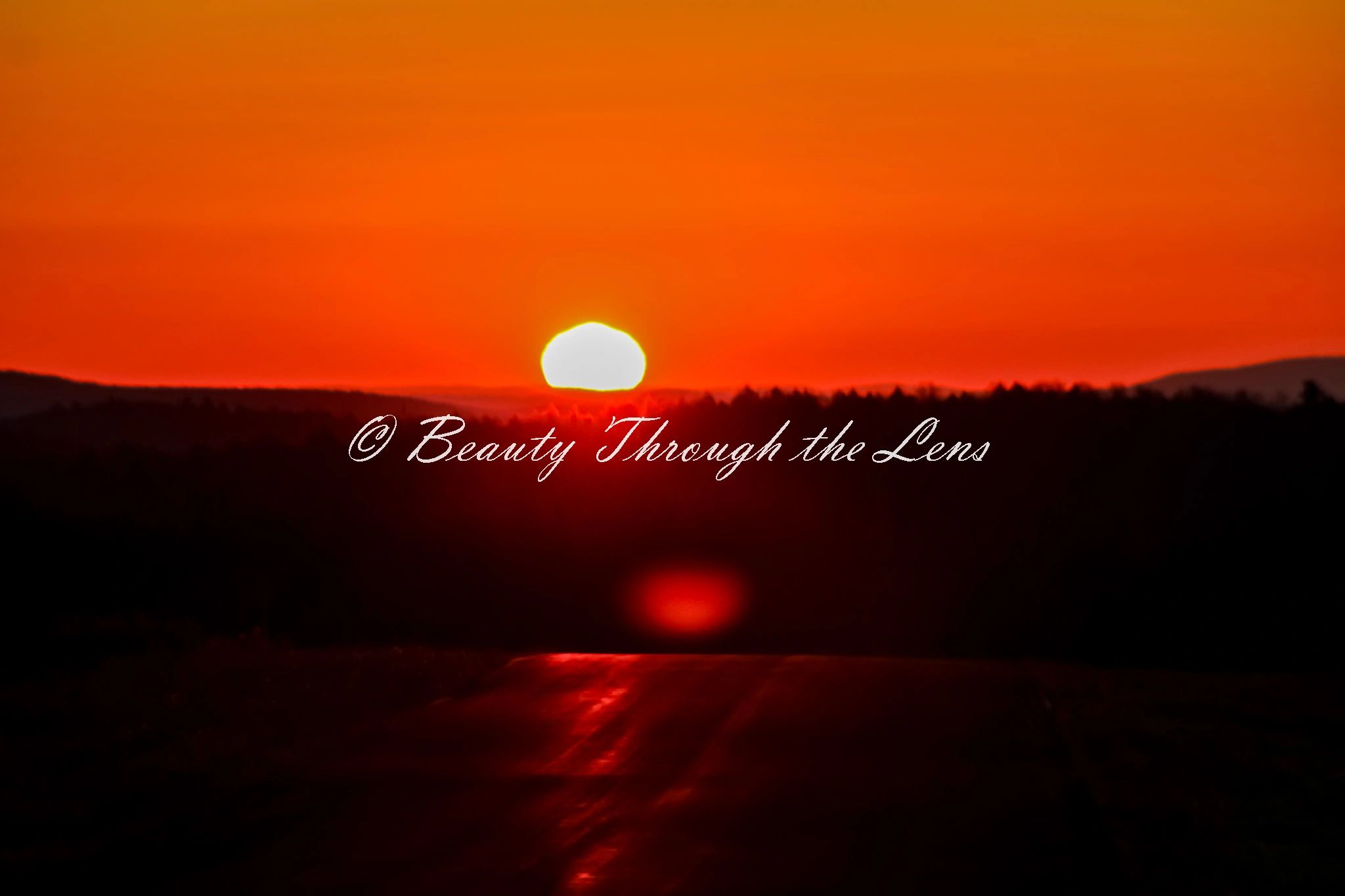 Beauty Through the Lens