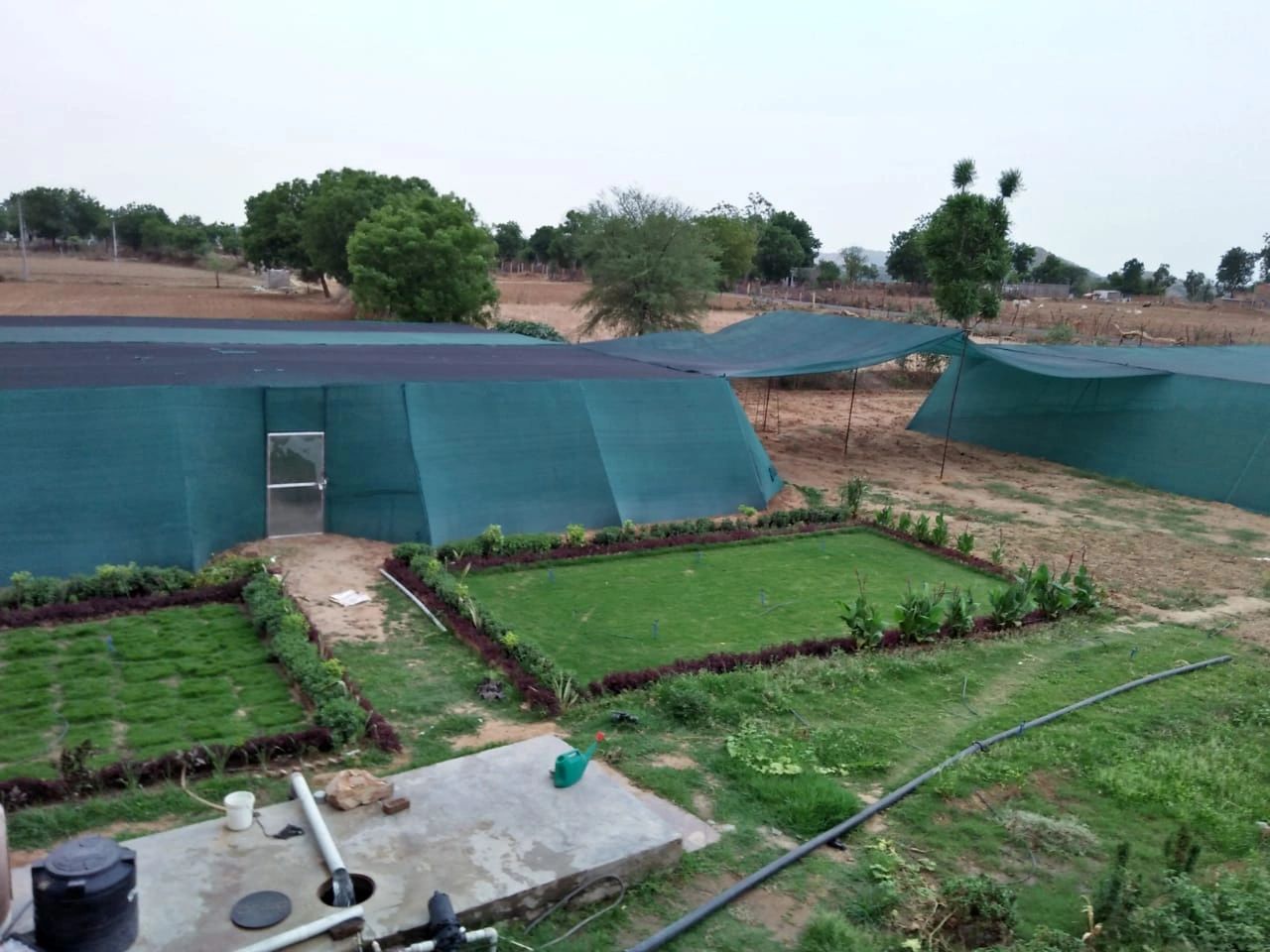 Panchvati Nursery & Organic Farms
