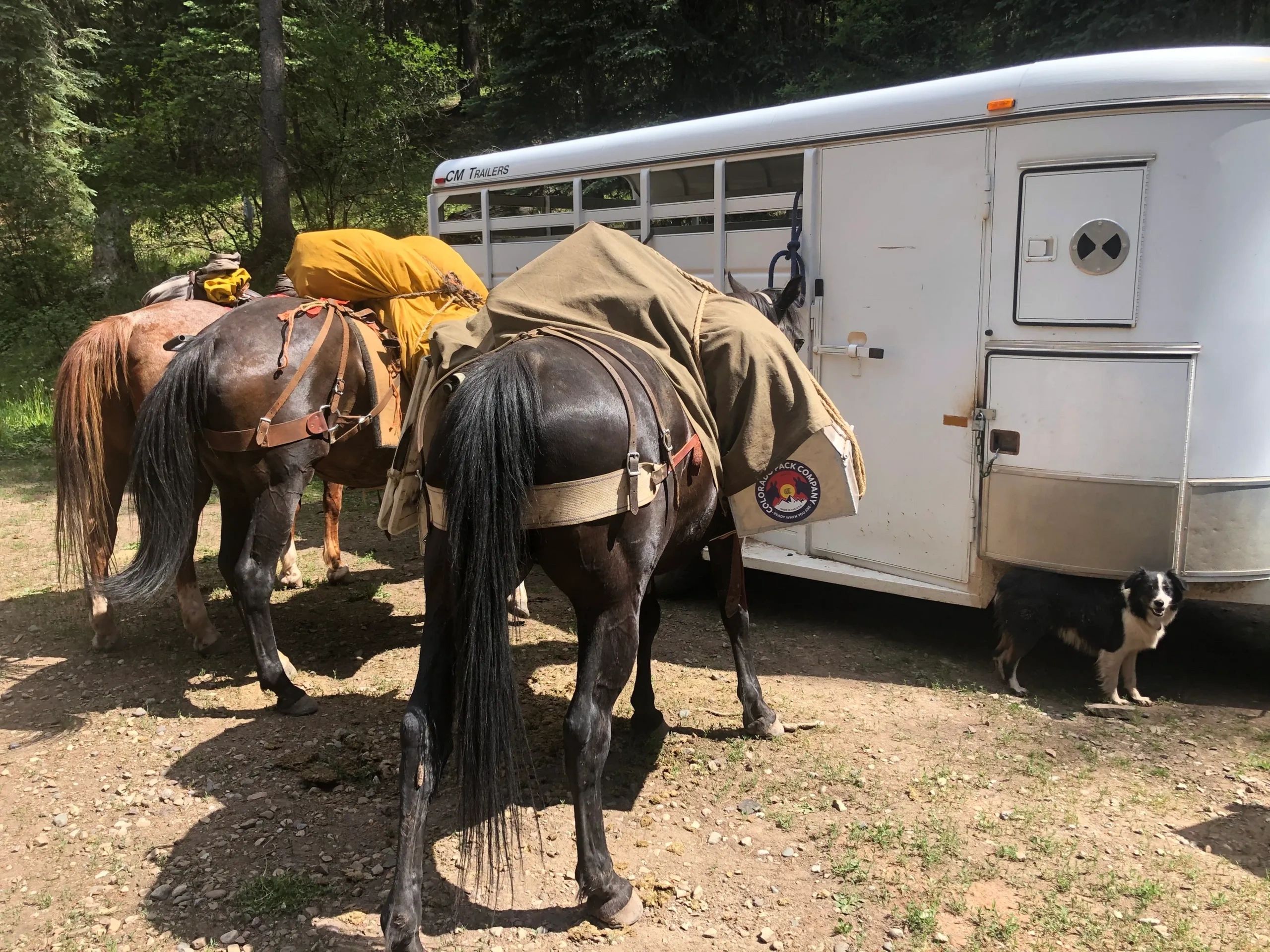 Gallery | Colorado Pack Company