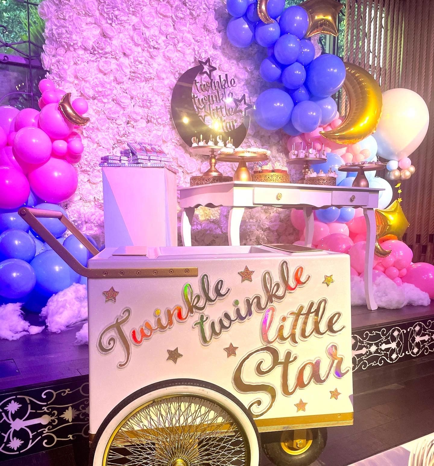 Paleta Cart - Paleta cart party