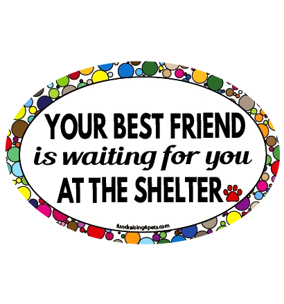 Your Best Friend Is Waiting for You at the Shelter magnet (straight)