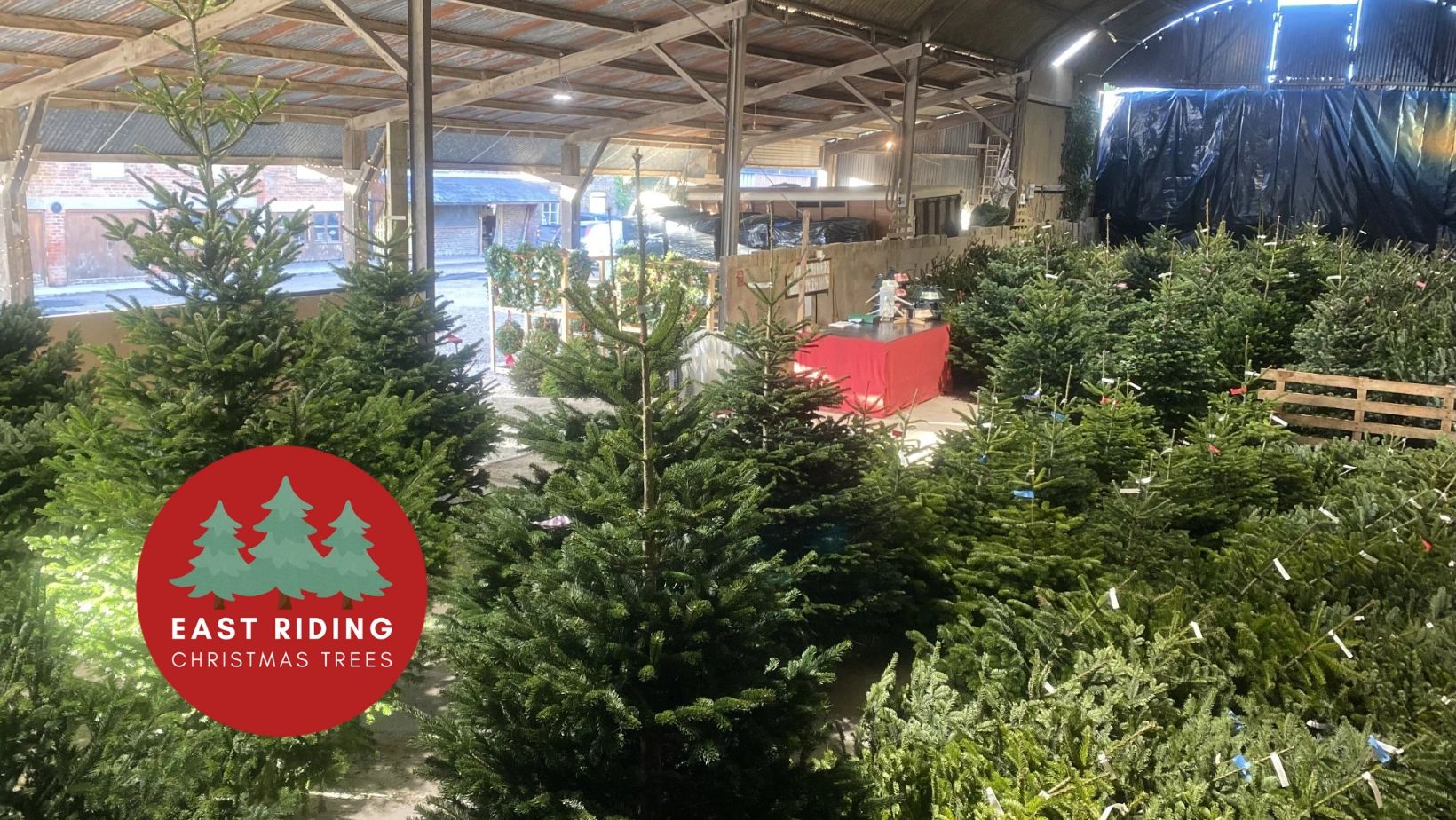 East Riding Christmas Trees