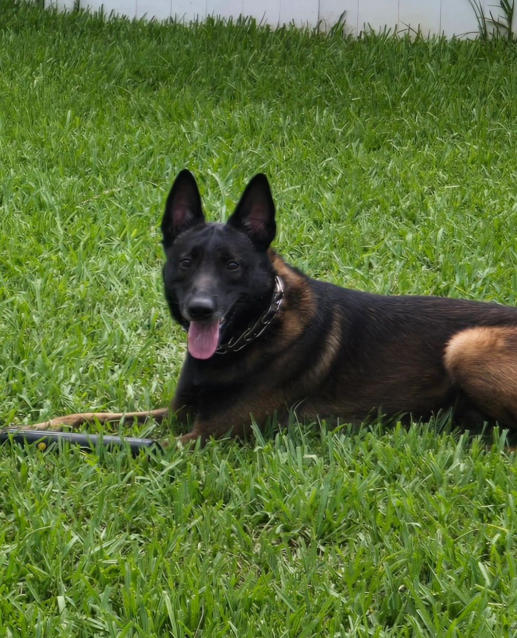 K9 Pro Series Complete