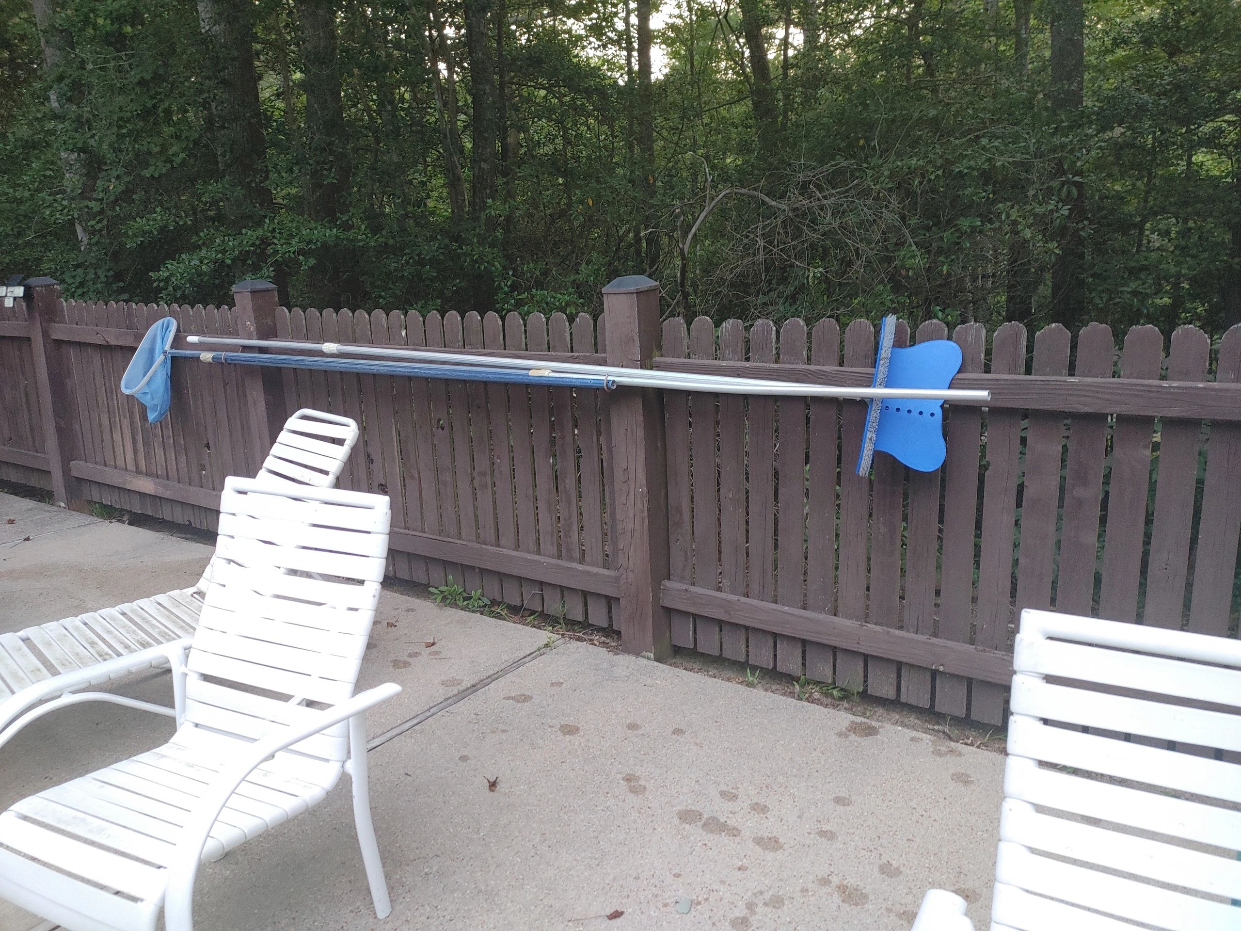 A Mini Science Lesson and a Plea for Assistance