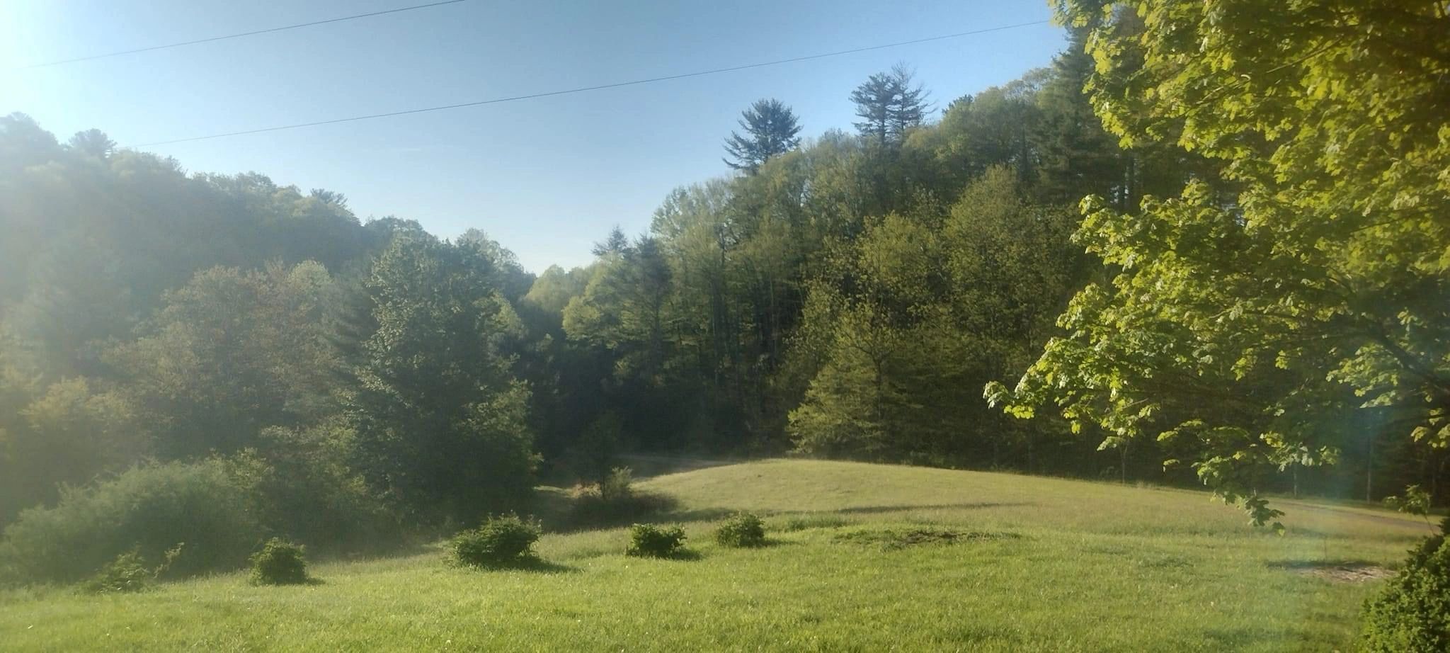 Indigo Mountain Farm