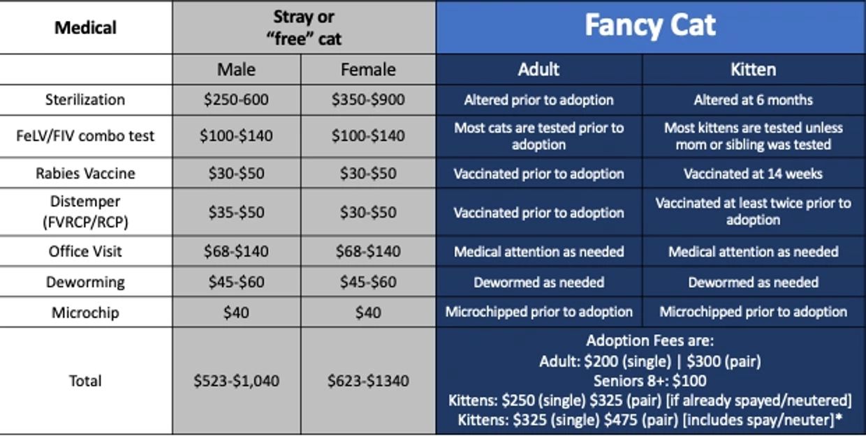 Cat Adoption Policies