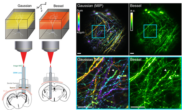 Research Guanghan Mengs Website