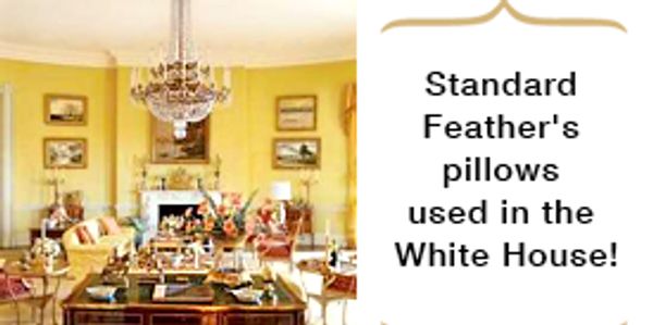 Standard Feather Company—Custom Manufacturers of Down and Feather ...