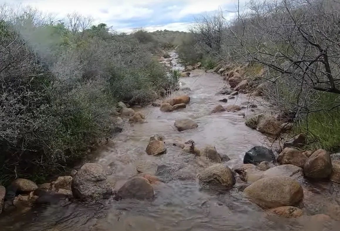 Last of the Potato Gold Part 2