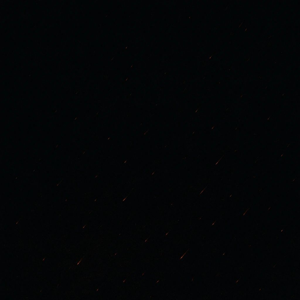 The Forged Collection