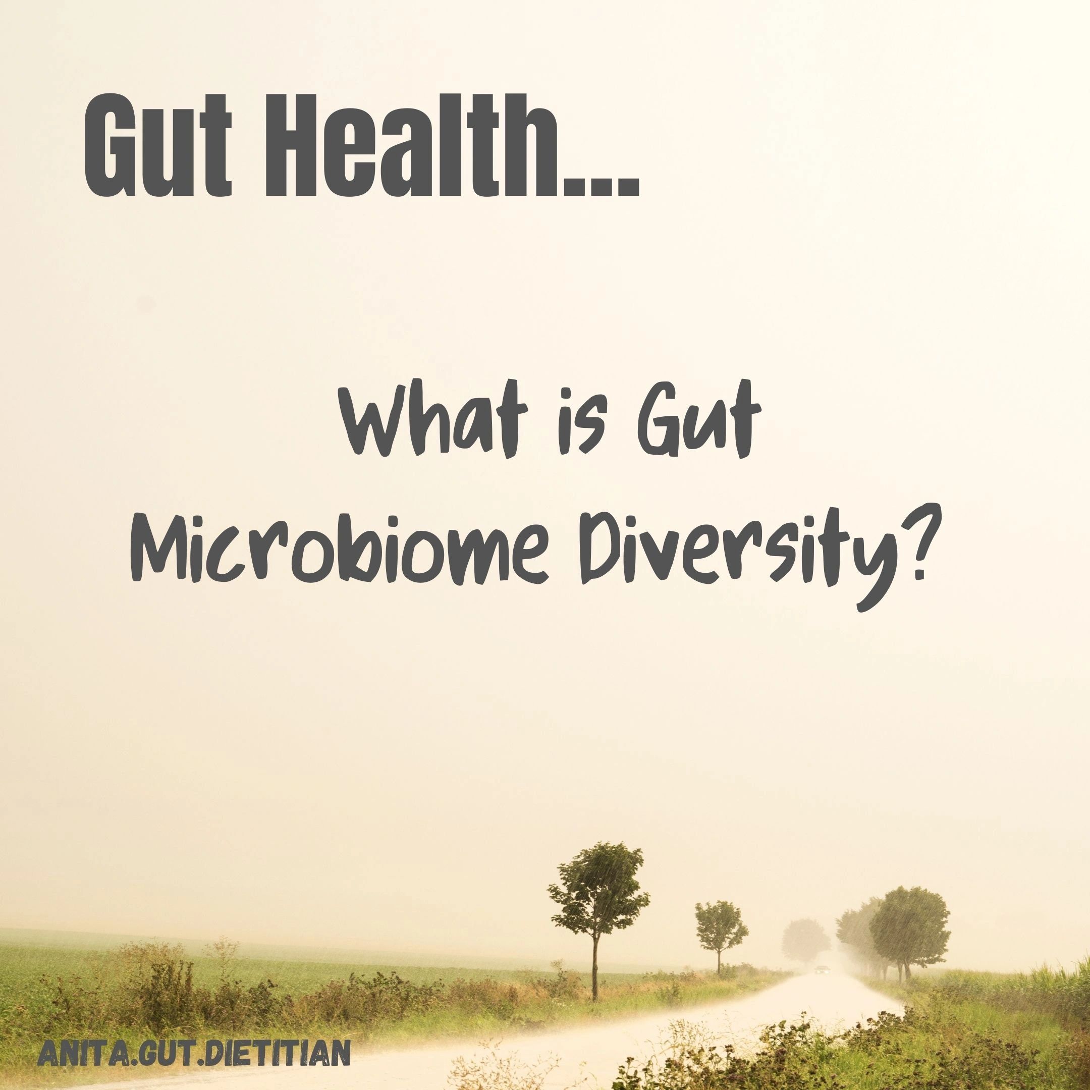 What is gut microbiome diversity?