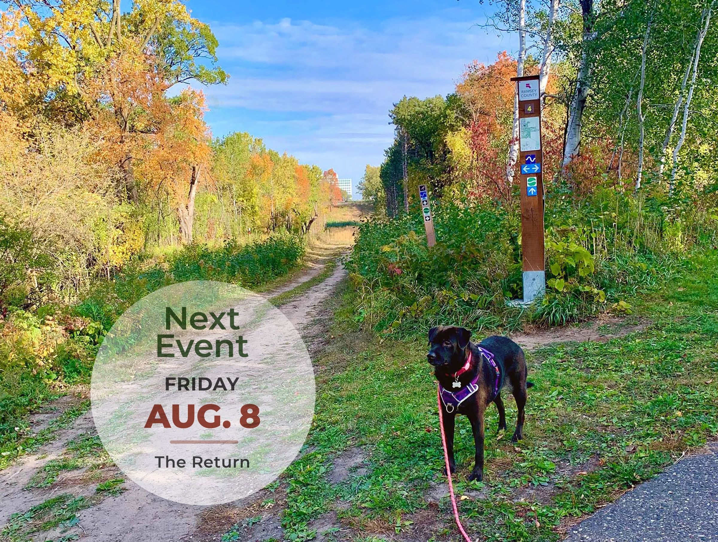 Canines & Creatives MSP