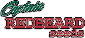 Captain Red Beard Seeds - Cannabis Seeds, Seedbank, Cannabis